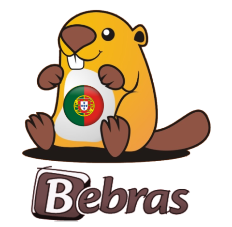 A prova Bebras | Colégio de Alfragide